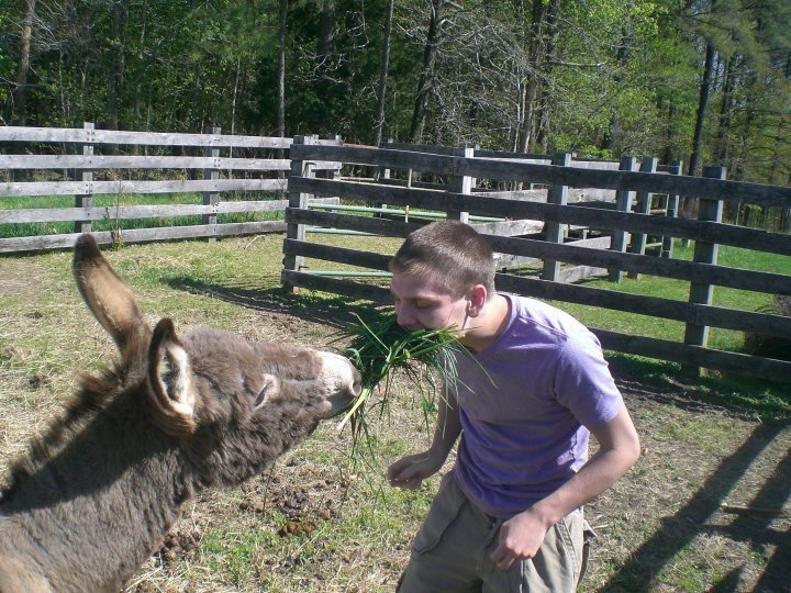 34 Strangest Things Caught On Camera